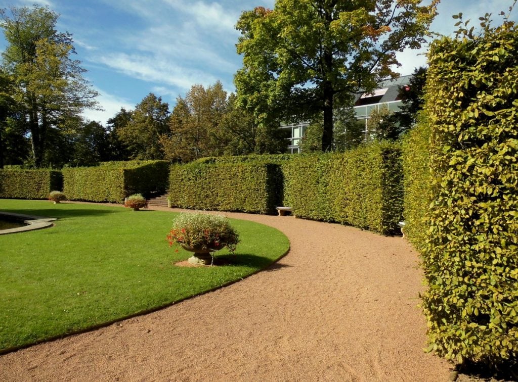 How To Use Plants And Trees For Backyard Privacy - Ward's Lawn Service ...